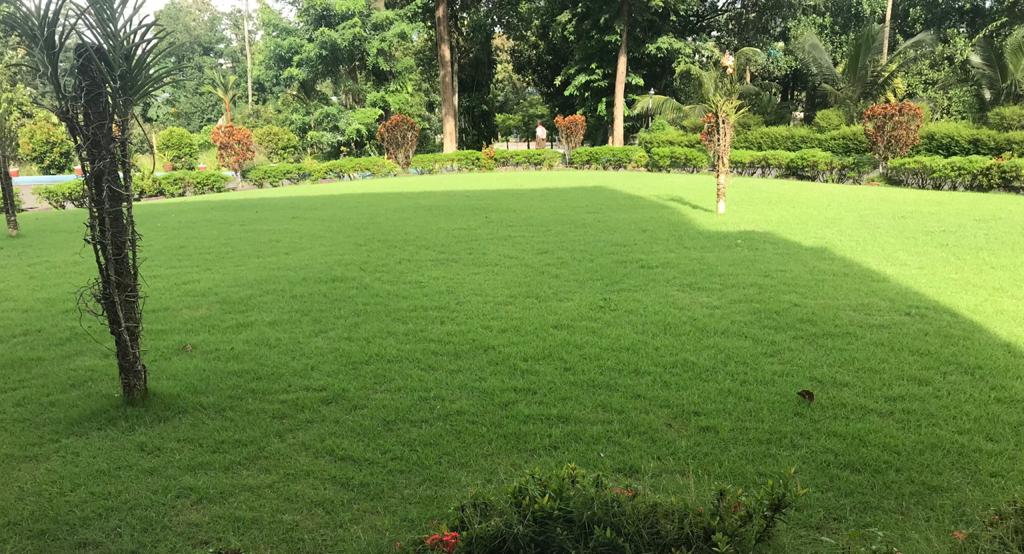 Forms – AICUF-ALMS